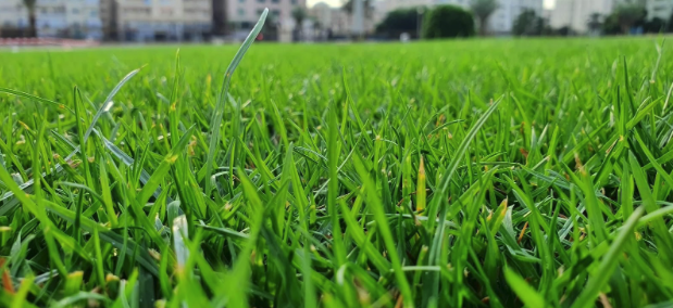States Departments of Agriculture Support Turfgrass Benefits Study ...